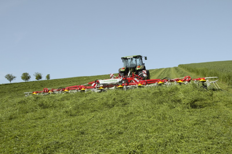 Pottinger: HIT T Tedder